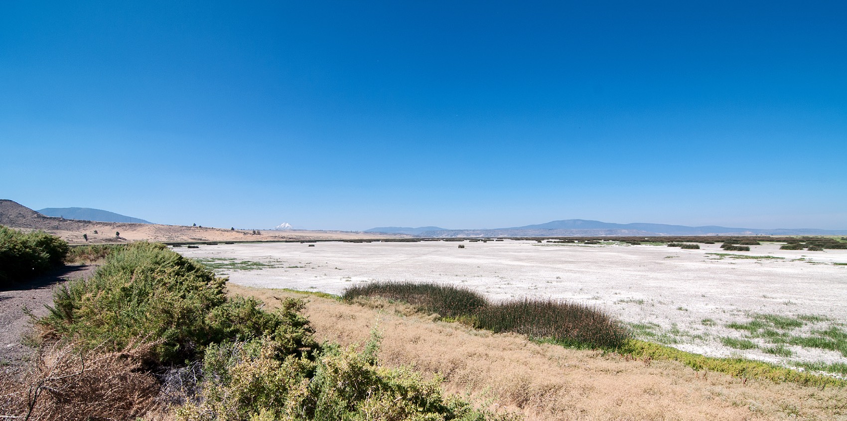A Plea for Water & Habitat in the Klamath Basin | Mossy Oak